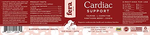 FERA PET ORGANICS Cardiac Support Supplement for Dogs and Cats, Improves Blood Flow, Energy – with Taurine, CoQ10, Organic Hawthorn Berry, Supports Cardiovascular Heart Health – 120 Capsules