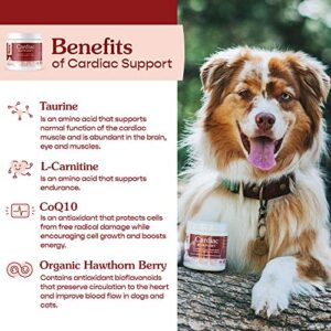 FERA PET ORGANICS Cardiac Support Supplement for Dogs and Cats, Improves Blood Flow, Energy – with Taurine, CoQ10, Organic Hawthorn Berry, Supports Cardiovascular Heart Health – 120 Capsules