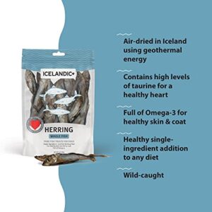 Icelandic+ Plus: Herring Whole Fish Dog Treat, 3-oz Bag, 100% Edible & Digestible, Reduces Tarter & Plaque Build-up, Full of Omega-3 for Healthy Skin and Shiny Coat