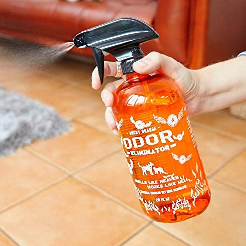 ANGRY ORANGE Pet Stain and Odor Remover - 2 Spray Pack - 32 oz Dog, Ferret, Rabbit & Cat Urine Enzyme Cleaner - 24 oz Pet Odor Eliminator for Strong Odor - for Pee on Carpet, Furniture, Tile, Wood