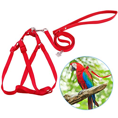 Bird Harness and Leash Kit Adjustable Anti-Bite, Fit for Large Medium Birds, Macaw,Budgerigar, Cockatoo, African Grey, and Reptiles, Lizards（Red Large）