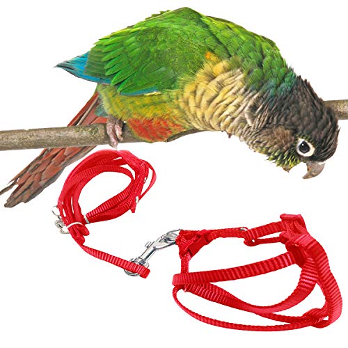 Bird Harness and Leash Kit Adjustable Anti-Bite, Fit for Large Medium Birds, Macaw,Budgerigar, Cockatoo, African Grey, and Reptiles, Lizards（Red Large）