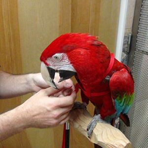 Bird Harness and Leash Kit Adjustable Anti-Bite, Fit for Large Medium Birds, Macaw,Budgerigar, Cockatoo, African Grey, and Reptiles, Lizards（Red Large）