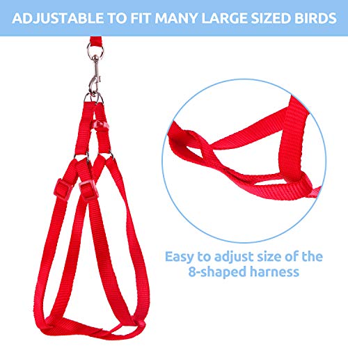 Bird Harness and Leash Kit Adjustable Anti-Bite, Fit for Large Medium Birds, Macaw,Budgerigar, Cockatoo, African Grey, and Reptiles, Lizards（Red Large）