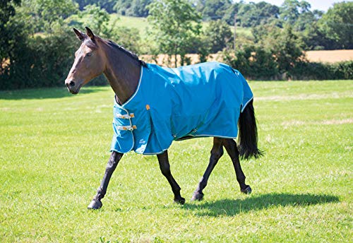 Shires Highlander Plus 0G Standard Neck Blanket Teal 69"