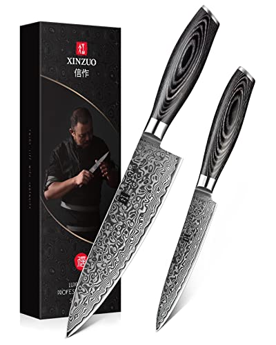 XINZUO Damascus 2Pcs Kitchen Knife Set, Hand Forged 67 Layers Damascus steel Chef Knife Utility Knife, Special cooking knife for restaurant kitchen, Ergonomic Pakkawood Handle - YA Series