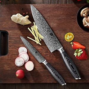 XINZUO Damascus 2Pcs Kitchen Knife Set, Hand Forged 67 Layers Damascus steel Chef Knife Utility Knife, Special cooking knife for restaurant kitchen, Ergonomic Pakkawood Handle - YA Series