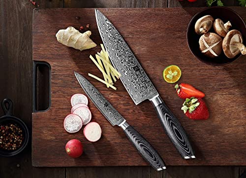 XINZUO Damascus 2Pcs Kitchen Knife Set, Hand Forged 67 Layers Damascus steel Chef Knife Utility Knife, Special cooking knife for restaurant kitchen, Ergonomic Pakkawood Handle - YA Series