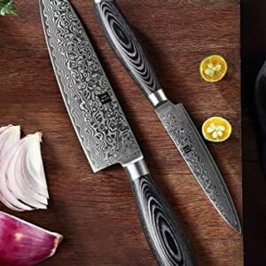 XINZUO Damascus 2Pcs Kitchen Knife Set, Hand Forged 67 Layers Damascus steel Chef Knife Utility Knife, Special cooking knife for restaurant kitchen, Ergonomic Pakkawood Handle - YA Series