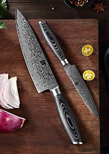 XINZUO Damascus 2Pcs Kitchen Knife Set, Hand Forged 67 Layers Damascus steel Chef Knife Utility Knife, Special cooking knife for restaurant kitchen, Ergonomic Pakkawood Handle - YA Series