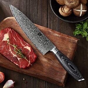 XINZUO Damascus 2Pcs Kitchen Knife Set, Hand Forged 67 Layers Damascus steel Chef Knife Utility Knife, Special cooking knife for restaurant kitchen, Ergonomic Pakkawood Handle - YA Series