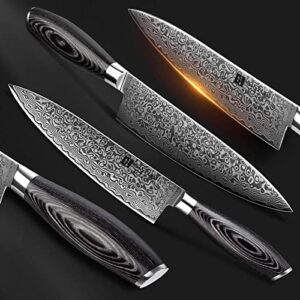 XINZUO Damascus 2Pcs Kitchen Knife Set, Hand Forged 67 Layers Damascus steel Chef Knife Utility Knife, Special cooking knife for restaurant kitchen, Ergonomic Pakkawood Handle - YA Series