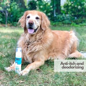 Mighty Mutt Waterless No-Rinse Dry Shampoo Foam for Dogs | Natural & Hypoallergenic Foam Dog Shampoo | Anti-Itch, Soothing and Deodorizing | 8oz