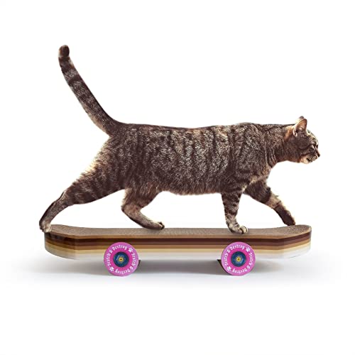 Suck UK Cat Scratch Pad Skateboard Cat Scratchers for Indoor Cats Cat Toy Scratching Board for Cats & Kittens Funny Cat Gifts & Gifts for Cats Interactive Cat Toy & Cardboard Cat Scratcher