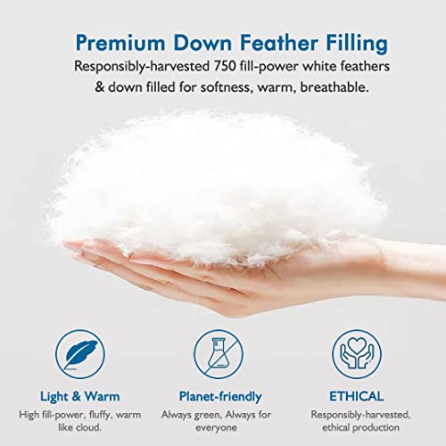 Dafinner Luxurious Queen Feathers Down Comforter - All Season Duvet Insert for Hotel Collection Bedding | Ultra-Soft Egyptian Cotton Fabric, Goose Feathers & Down Blend Filling(90x90, White)