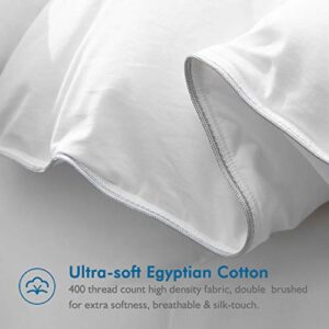 Dafinner Luxurious Queen Feathers Down Comforter - All Season Duvet Insert for Hotel Collection Bedding | Ultra-Soft Egyptian Cotton Fabric, Goose Feathers & Down Blend Filling(90x90, White)