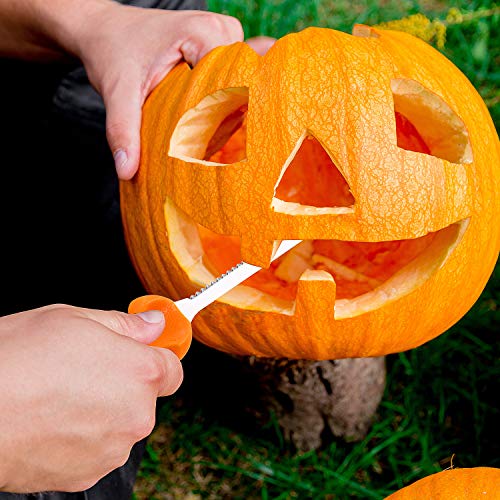 15 Pieces Halloween Pumpkin Carving Tool Kit, 5 Pieces Pumpkin Cutting Supplies Tools with 10 Pieces Pumpkin LED Candles for Halloween Decorations