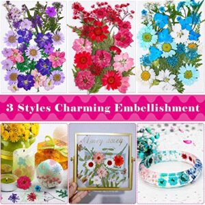 Thrilez 100Pcs Pressed Dried Flowers for Resin Molds, Natural Dried Flower Herbs kit for Scrapbooking Supplies Card Making Supplies Resin Jewelry Making Soap and Candle Making(Blue, Purple, Red)