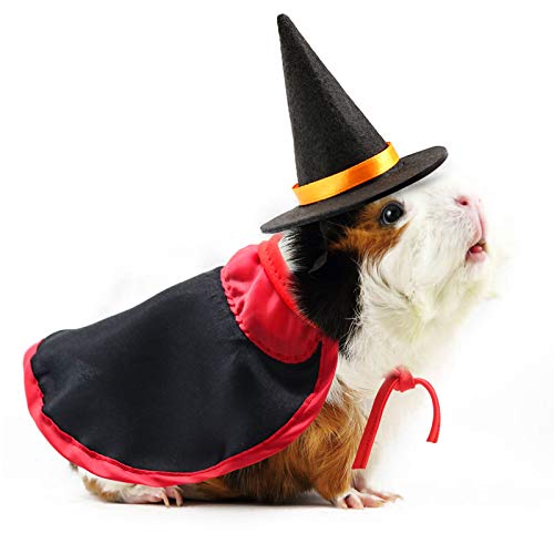 RYPET Guinea Pig Holiday Costumes - Guinea Pig Hat and Cape for Ferret Chinchilla Bearded Dragon and Other Similar Sized Animal