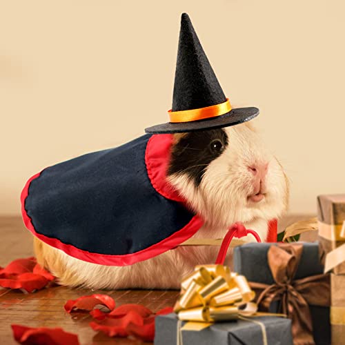 RYPET Guinea Pig Holiday Costumes - Guinea Pig Hat and Cape for Ferret Chinchilla Bearded Dragon and Other Similar Sized Animal