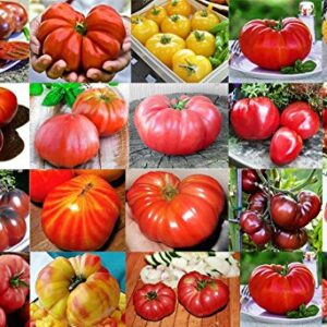 Mixed Seeds! 30 Giant Tomato Seeds, Mix of 19 Varieties, Heirloom Non-GMO, Brandywine Black, Red, Yellow & Pink, Mr. Stripey, Old German, Black Krim, from USA