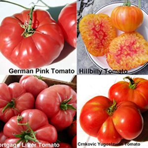 Mixed Seeds! 30 Giant Tomato Seeds, Mix of 19 Varieties, Heirloom Non-GMO, Brandywine Black, Red, Yellow & Pink, Mr. Stripey, Old German, Black Krim, from USA