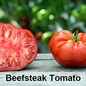 Mixed Seeds! 30 Giant Tomato Seeds, Mix of 19 Varieties, Heirloom Non-GMO, Brandywine Black, Red, Yellow & Pink, Mr. Stripey, Old German, Black Krim, from USA