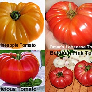 Mixed Seeds! 30 Giant Tomato Seeds, Mix of 19 Varieties, Heirloom Non-GMO, Brandywine Black, Red, Yellow & Pink, Mr. Stripey, Old German, Black Krim, from USA