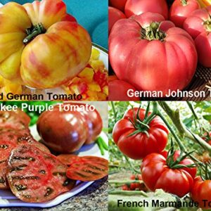 Mixed Seeds! 30 Giant Tomato Seeds, Mix of 19 Varieties, Heirloom Non-GMO, Brandywine Black, Red, Yellow & Pink, Mr. Stripey, Old German, Black Krim, from USA