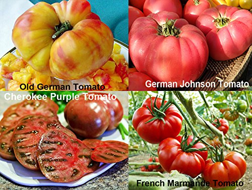 Mixed Seeds! 30 Giant Tomato Seeds, Mix of 19 Varieties, Heirloom Non-GMO, Brandywine Black, Red, Yellow & Pink, Mr. Stripey, Old German, Black Krim, from USA