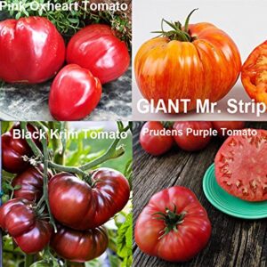 Mixed Seeds! 30 Giant Tomato Seeds, Mix of 19 Varieties, Heirloom Non-GMO, Brandywine Black, Red, Yellow & Pink, Mr. Stripey, Old German, Black Krim, from USA