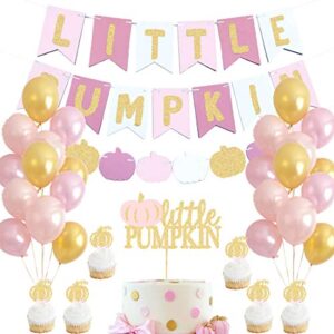 heeton little pumpkin banner pink girl pumpkin cake topper fall baby shower birthday halloween thanksgiving pumpkin party decorations supplies photo booth props