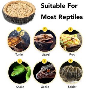 CalPalmy 2 Pack Reptile Food Bowls - Reptile Water and Food Bowls, Novelty Food Bowl for Lizards, Young Bearded Dragons, Small Snakes and More - Made from BPA-Free Plastic