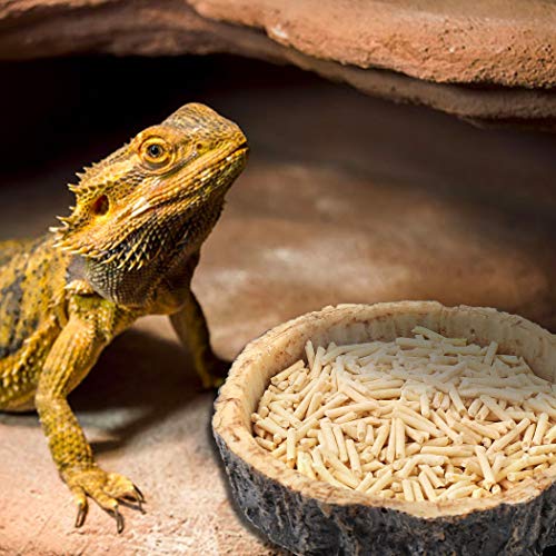 CalPalmy 2 Pack Reptile Food Bowls - Reptile Water and Food Bowls, Novelty Food Bowl for Lizards, Young Bearded Dragons, Small Snakes and More - Made from BPA-Free Plastic