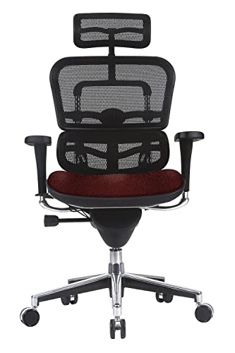 Tempur Pedic® Eurotech Ergo High Back-Mesh Executive Chair Burgundy