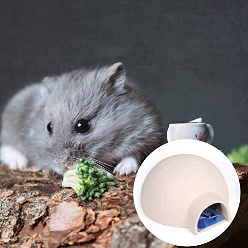 POPETPOP Ceramic Hamster House Small Pet Hideout Hamster Cave Cooling House Nest Mini Hut Cage for Chinchilla Hamster Small Animals