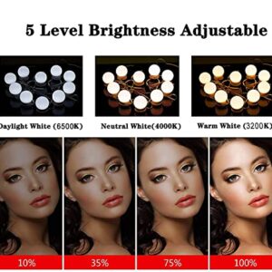 sylvwin Vanity Mirror Lights,Hollywood Style Mirror Lights Kit Dimmable LED Bulbs,Vanity Makeup Light for Dressing Mirror(USB Cable,Not Include Mirror) (10 Bulbs)