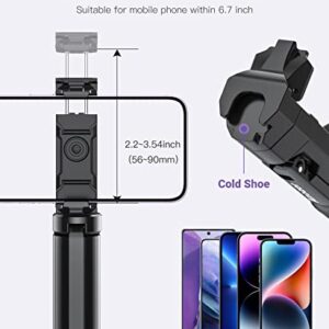 Mini Tripod, Anozer Small Tripod with Universal Phone Holder & Cold Shoe, Lightweight Phone Tripod Stand Compatible with iPhone 14 Pro Max/14 Pro, Travel Tripod for Camera/GoPro/Webcam/Mini Projector