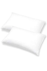 pillows with a purpose pillow inserts - pack of 2-12" x 16" rectangular decorative throw or sham for couch - bed - sofa