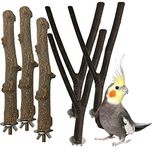 PINVNBY Natural Bird Wood Perch Parakeet Standing Toy Sticks Parrot Paw Grinding Branches Cockatiels Cage Chewable Accessories for Conures Macaws Finches 6 Pack