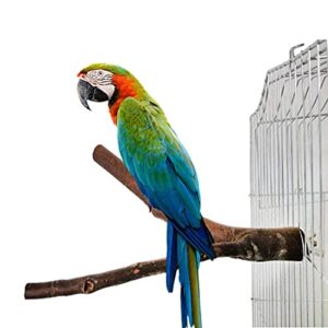 PINVNBY Natural Bird Wood Perch Parakeet Standing Toy Sticks Parrot Paw Grinding Branches Cockatiels Cage Chewable Accessories for Conures Macaws Finches 6 Pack