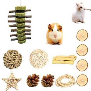 Fansisco Bunny Chew Toys for Teeth Grinding,Molar Rabbit Toys Organic Apple Chewing Sticks,Chew Treats and Balls for Hamster,Rabbit, Bunny, Chinchilla, Guinea Pig, Small Animal