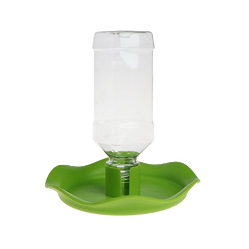 7haofang Reptile Water Drinker Dispenser Food Basin Stand Lizard Feeder Dish Bowl Bottle