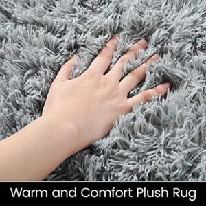 ISEAU Oval Fluffy Rug Carpets, Modern Plush Shaggy Area Rug for Kids Bedroom Extra Comfy Cute Nursery Rug Bedside Rug for Boys Girls Room Home Decor Mats, 2.6 x 5.3ft, Grey