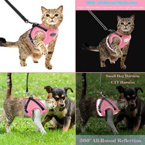 Cat Harness and Leash for Walking, Kitten Escape Proof Harnesses, Adjustable Reflective Puppy Vest Harness with Leashes Set, Easy Adjustable Soft net Breathable Pet Safety Jacket