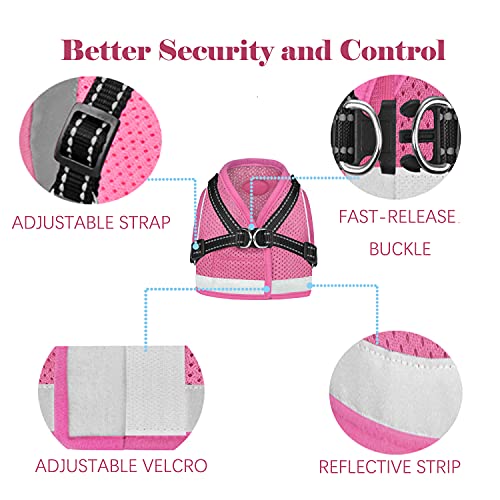 Cat Harness and Leash for Walking, Kitten Escape Proof Harnesses, Adjustable Reflective Puppy Vest Harness with Leashes Set, Easy Adjustable Soft net Breathable Pet Safety Jacket