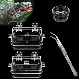 iafvkai reptile feeder acrylic anti escape gecko chameleon food water feeding bowl amphibians worm feeding box for snake python spider lizard scorpion insects