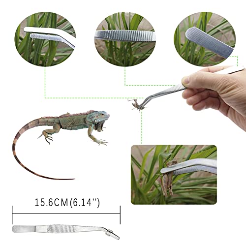 IAFVKAI Reptile Feeder Acrylic Anti Escape Gecko Chameleon Food Water Feeding Bowl Amphibians Worm Feeding Box for Snake Python Spider Lizard Scorpion Insects