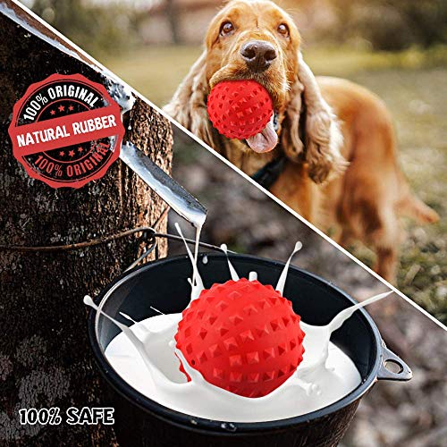 RHL Dog Squeaky Toys for Aggressive chewers Large Breed Balls Interactive Dog Ball Toy Almost Indestructible Tough Durable Stick for Medium Small Dogs Puppy Chew Toys with Non-Toxic Natural Rubber