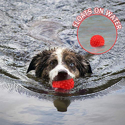 RHL Dog Squeaky Toys for Aggressive chewers Large Breed Balls Interactive Dog Ball Toy Almost Indestructible Tough Durable Stick for Medium Small Dogs Puppy Chew Toys with Non-Toxic Natural Rubber